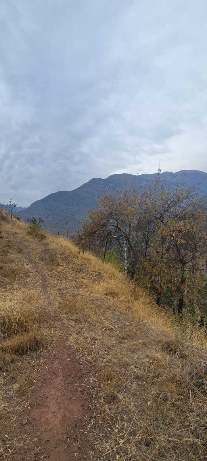 Sitio o Terreno en Venta en Lo Barnechea | R77087734-2L0-113844 | Emol Propiedades