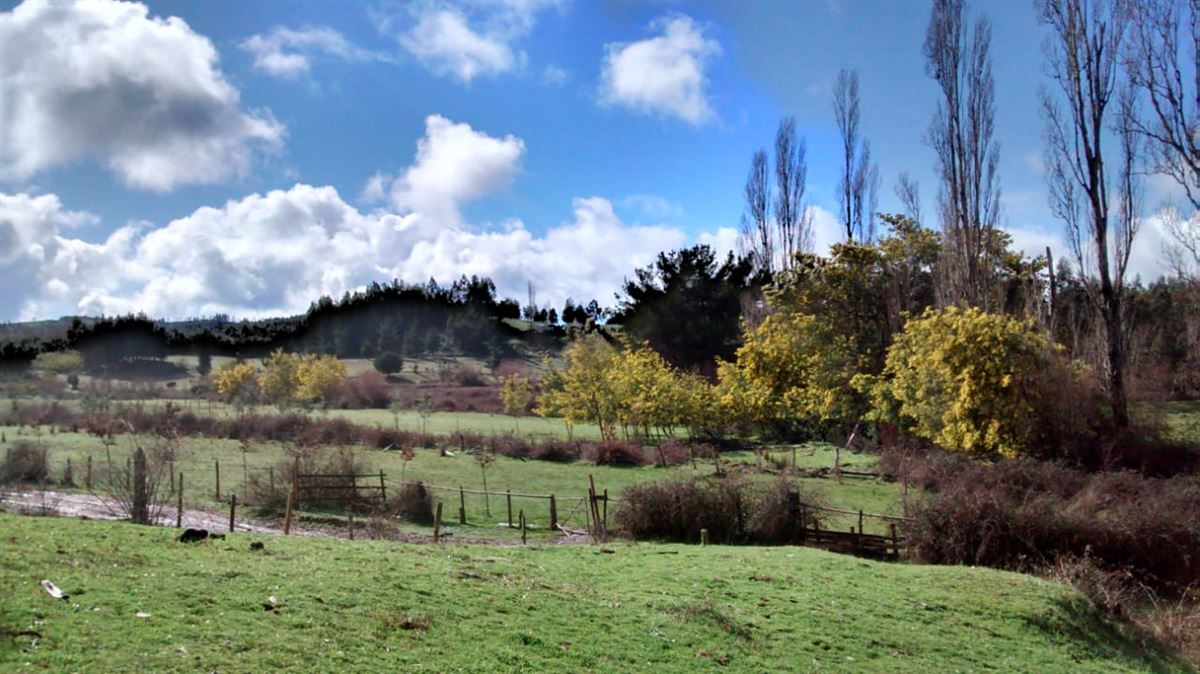 Propiedad Agricola en Venta en Traiguén | R76039513-7L0-110714602 ...